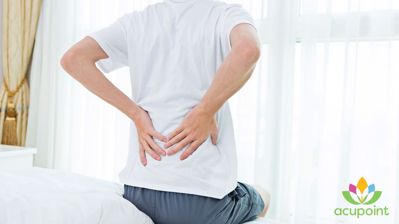 Back Pressure Points Massage: 3 Ways to Relieve Back Pain Using Key ...
